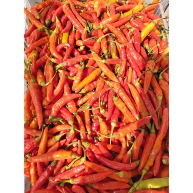 Jual Cabe rawit merah / cabe caplak 250 gram | Shopee Indonesia
