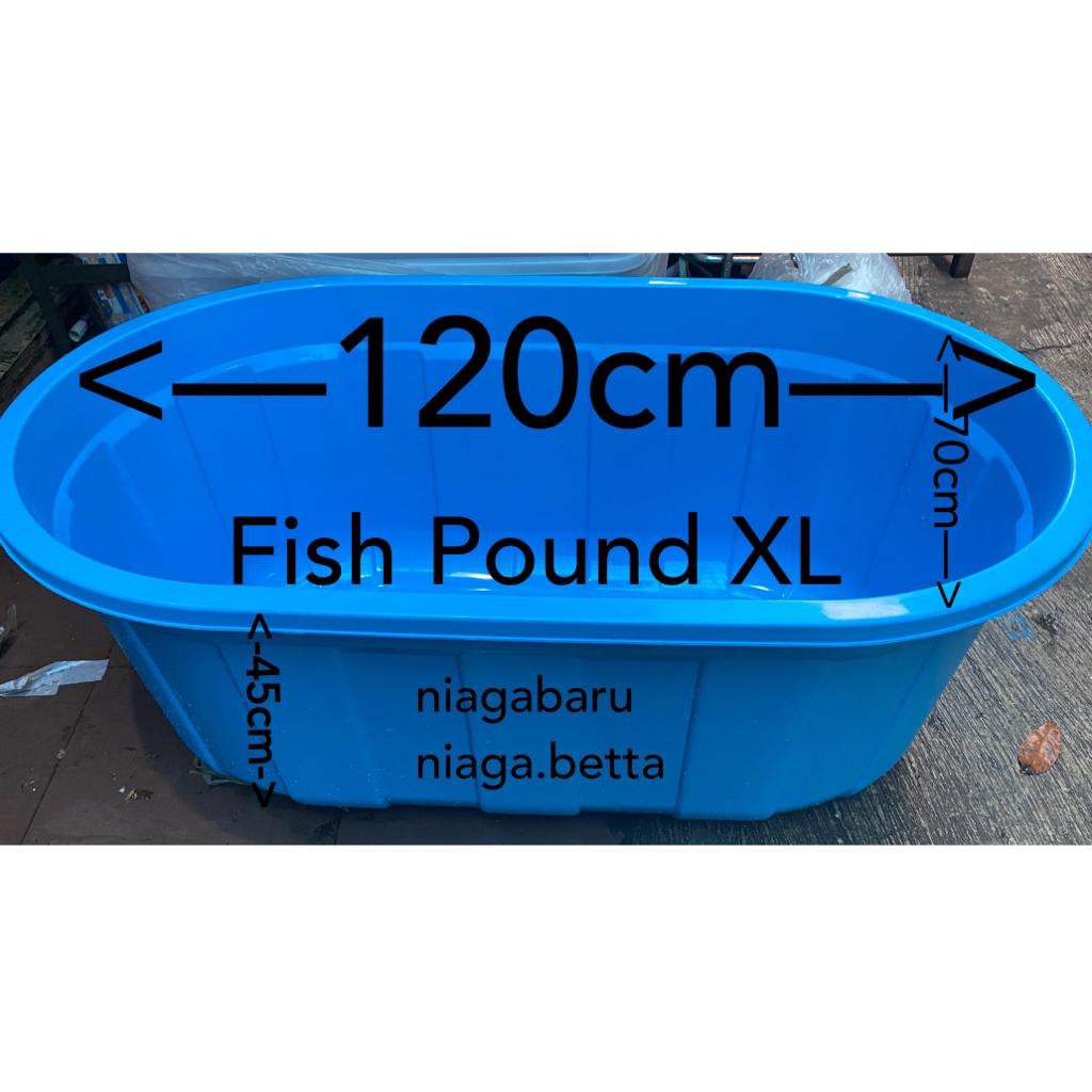Jual Bak Kolam Ikan Besar Fishpound Taiwan XL BIRU | Shopee Indonesia