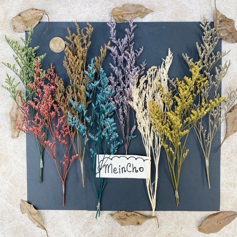 Jual (2 tangkai) Bunga Kering Caspea Limonium Dried Flower Preserved ...