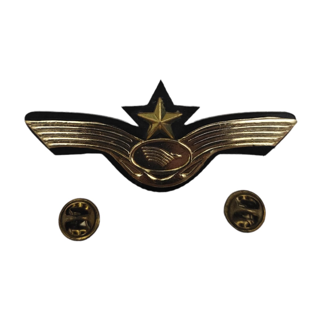 Jual Wings wing pin Pilot Garuda indonesia Original Best seller bisa ...