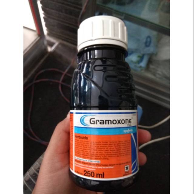 Jual Herbisida Gramoxone 276SL 250ml - Racun Rumput/Gulma | Shopee ...