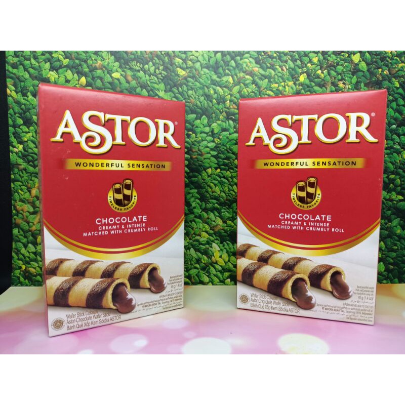 Jual ASTOR WAFER STICK COKELAT 40GR | Shopee Indonesia