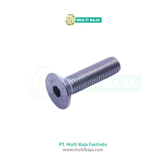 Jual Baut Stainless Steel 304 Verseng L M4 - 0.7 x 12 | Shopee Indonesia