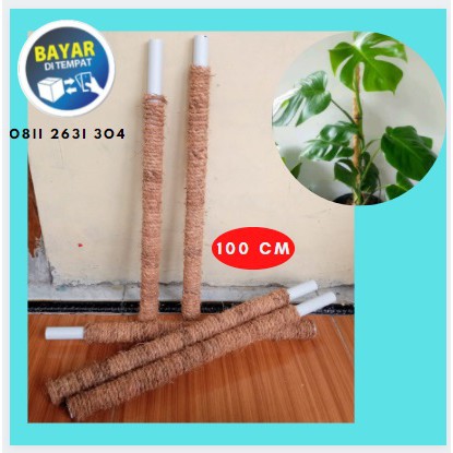 Jual Turus 100 cm Penyangga Tanaman Rambat Janda Bolong Dari Sabut ...