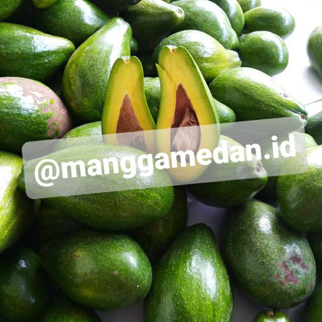 Jual Alpukat mentega lokal kuning legit manis | Shopee Indonesia