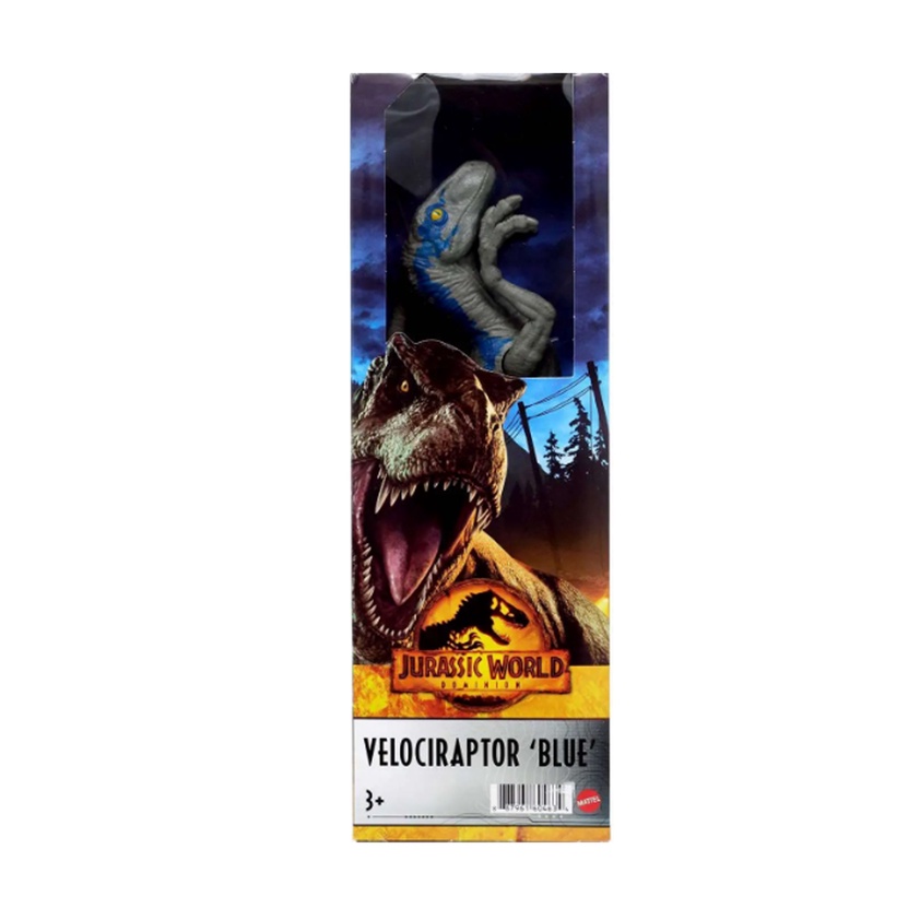 Jual Jurassic World Dominion - Pyroraptor/Atrociraptor/Pteranodon/Blue ...