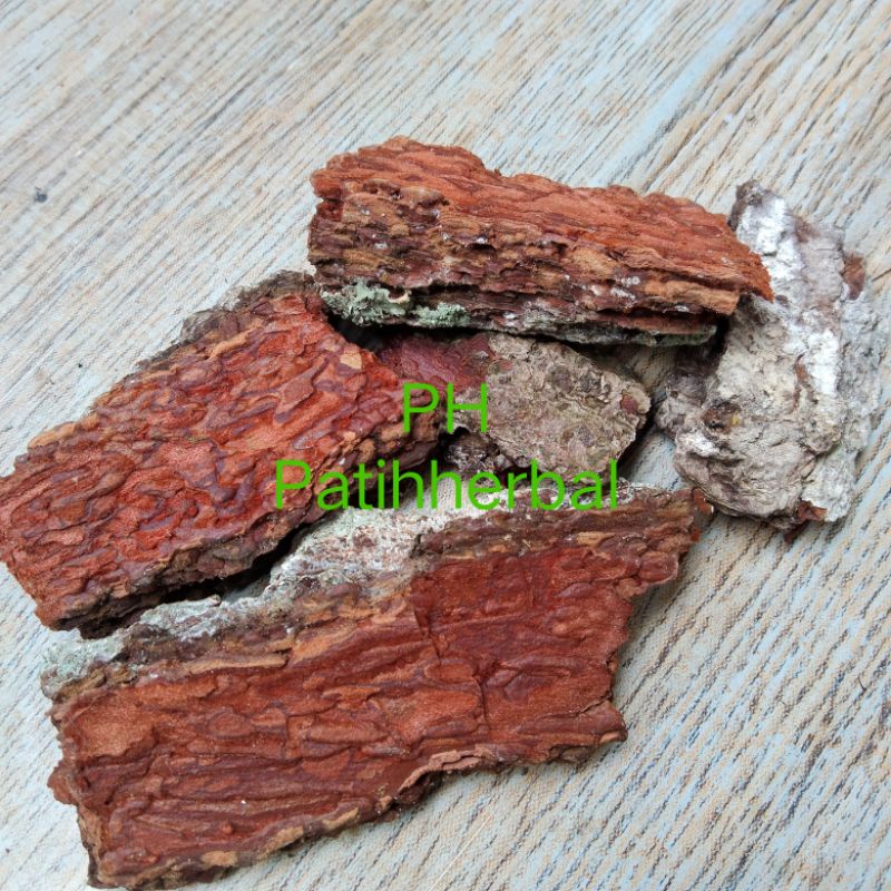 Jual Jual Kulit Pohon Pinus 500 gram | Shopee Indonesia