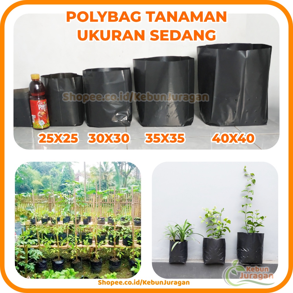 Jual Polybag Ukuran Sedang 25x25 30x30 35x35 40x40 cm Polibag Polibek ...
