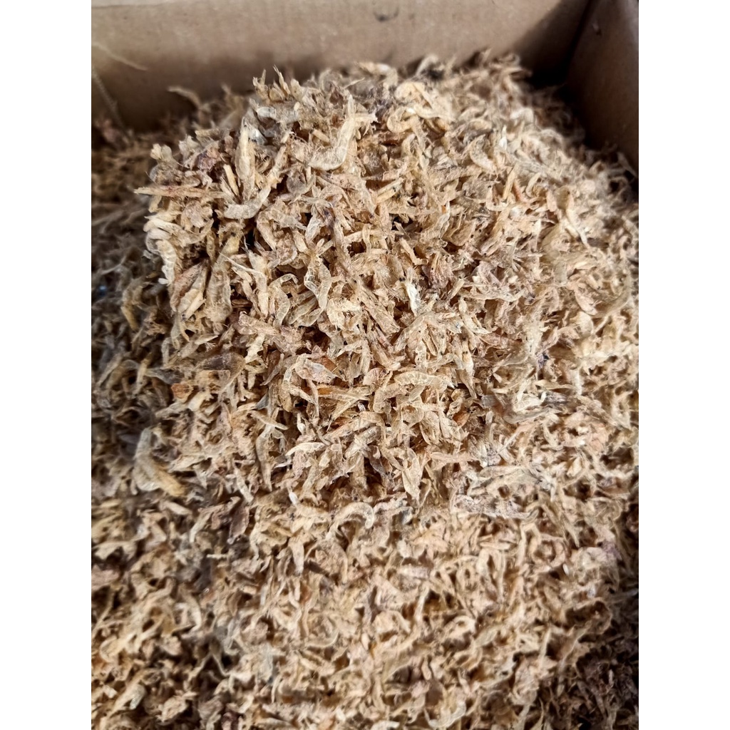 Jual Ikan asin 250 gram baby cumi peda merah peda putih gabus laut ...