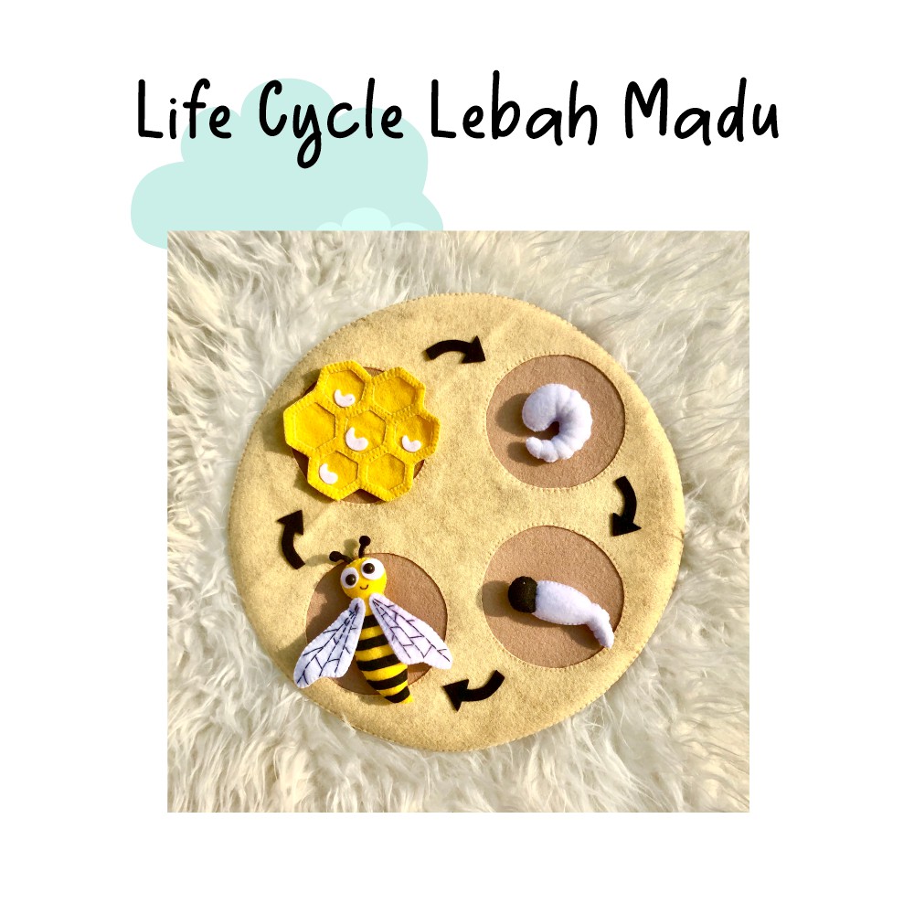 Jual Life Cycle Lebah Madu dan Kupu-kupu Belajar Daur Hidup Siklus ...