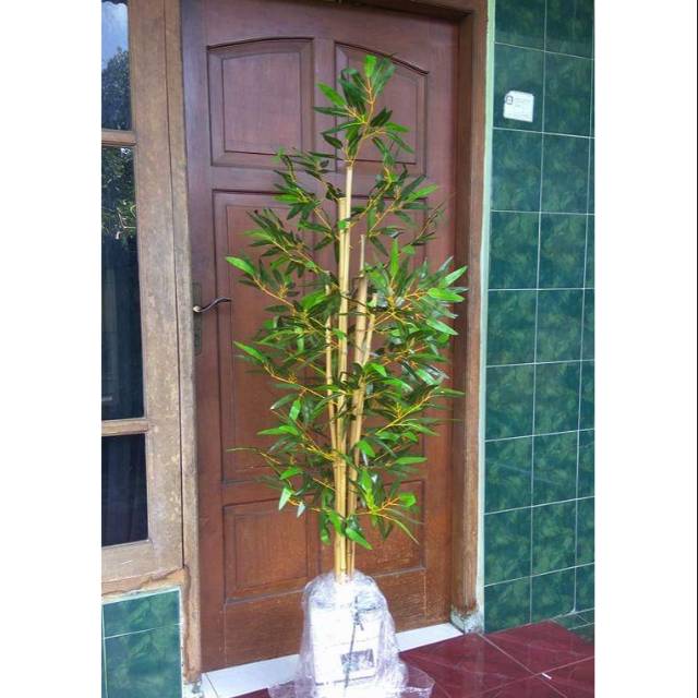 Jual Hiasan Pohon bambu lengkap vas | Shopee Indonesia