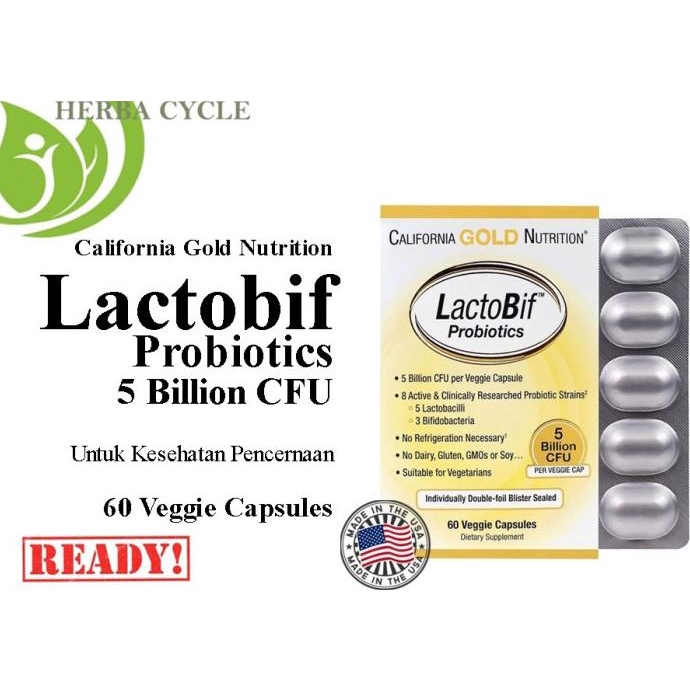 Jual CGN LactoBif Probiotics 5 Billion CFU 60 Veg Lactobif Probiotik ...