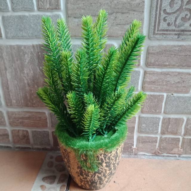 Jual Artificial pinus pohon pinus mini dengan pot lumut | Shopee Indonesia