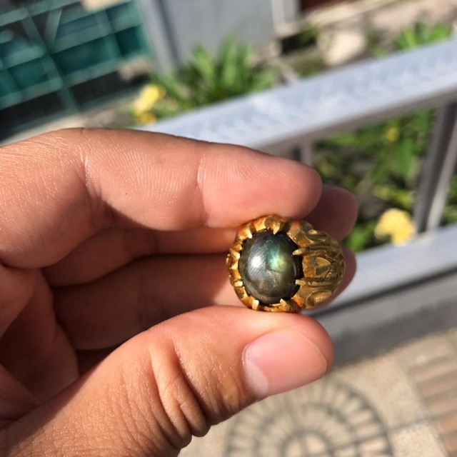 Jual Bangsing kresna | Shopee Indonesia