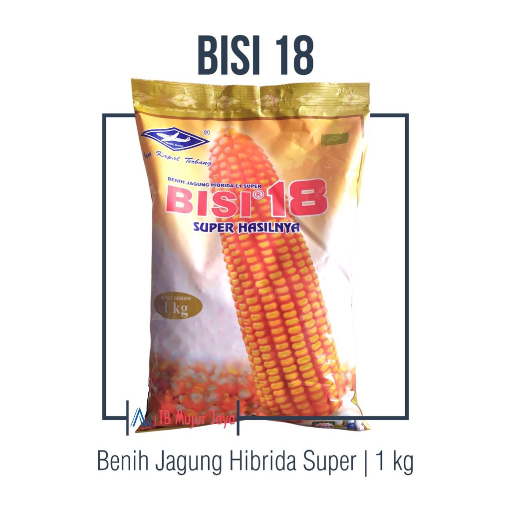 Jual BISI 18 Benih Jagung Hibrida Cap Kapal Terbang 1 kg | Shopee Indonesia