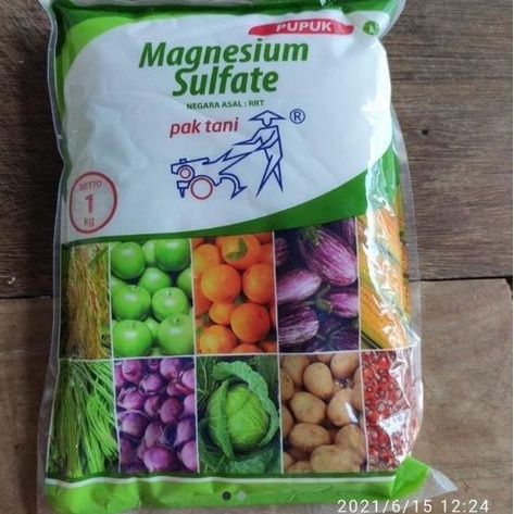 Jual Pupuk Daun Buah MAGNESIUM SULFATE Pak Tani Netto 1Kg | Shopee ...