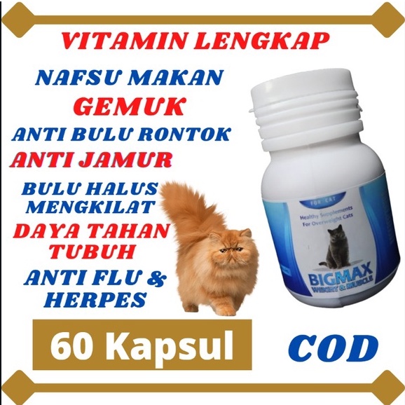 Jual VITAMIN KUCING NAFSU MAKAN KUCING PENGGEMUK KUCING VITAMIN BULU ...