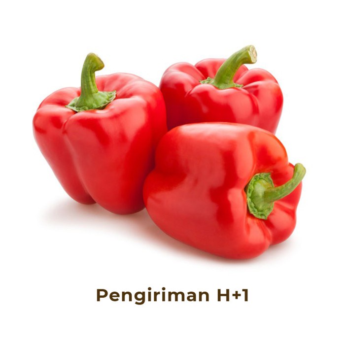 Jual Paprika Merah Segar | Shopee Indonesia