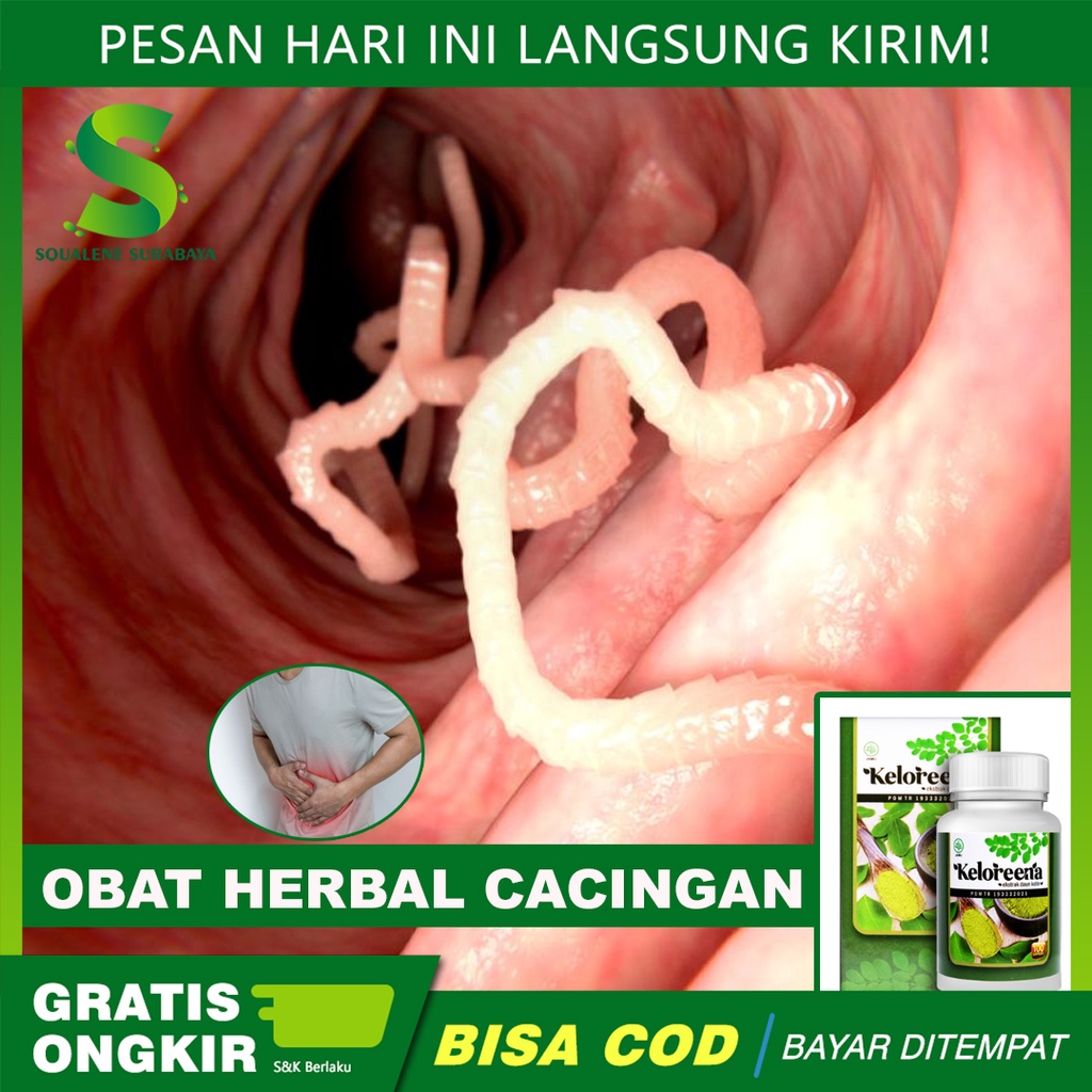 Jual Obat Cacingan Untuk Dewasa dan Anak Anak - Obat Cacing Perut ...