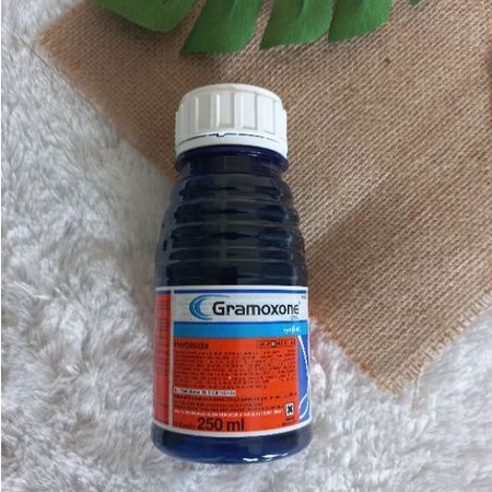 Jual Obat Rumput Herbisida Gramoxone 250ml | Shopee Indonesia