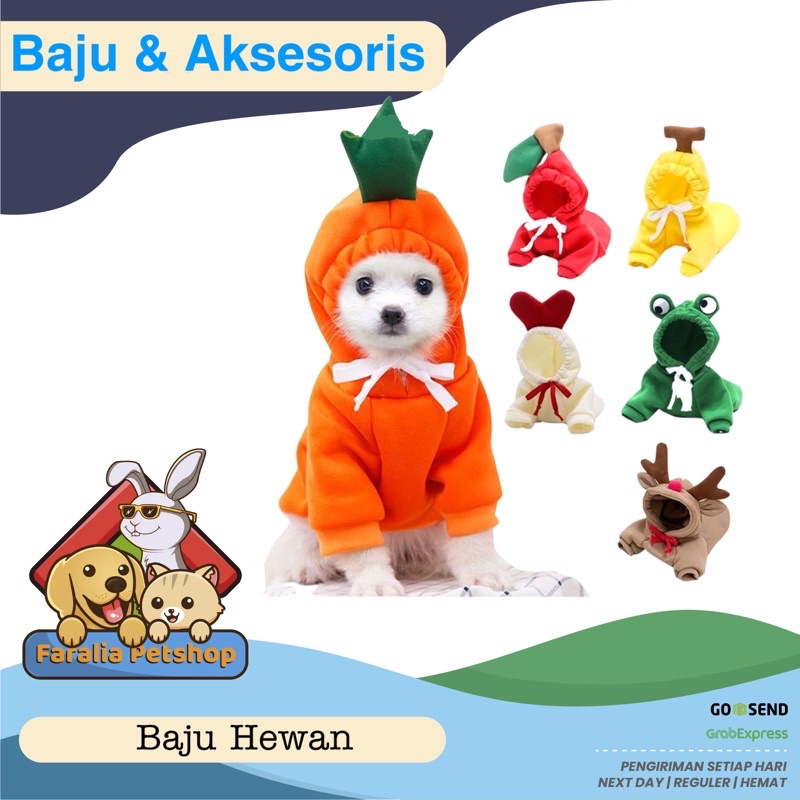 Jual Baju Buah Sayur Kucing Anjing Pet Clothes Cat Dog Fruits Animal Cute | Shopee Indonesia