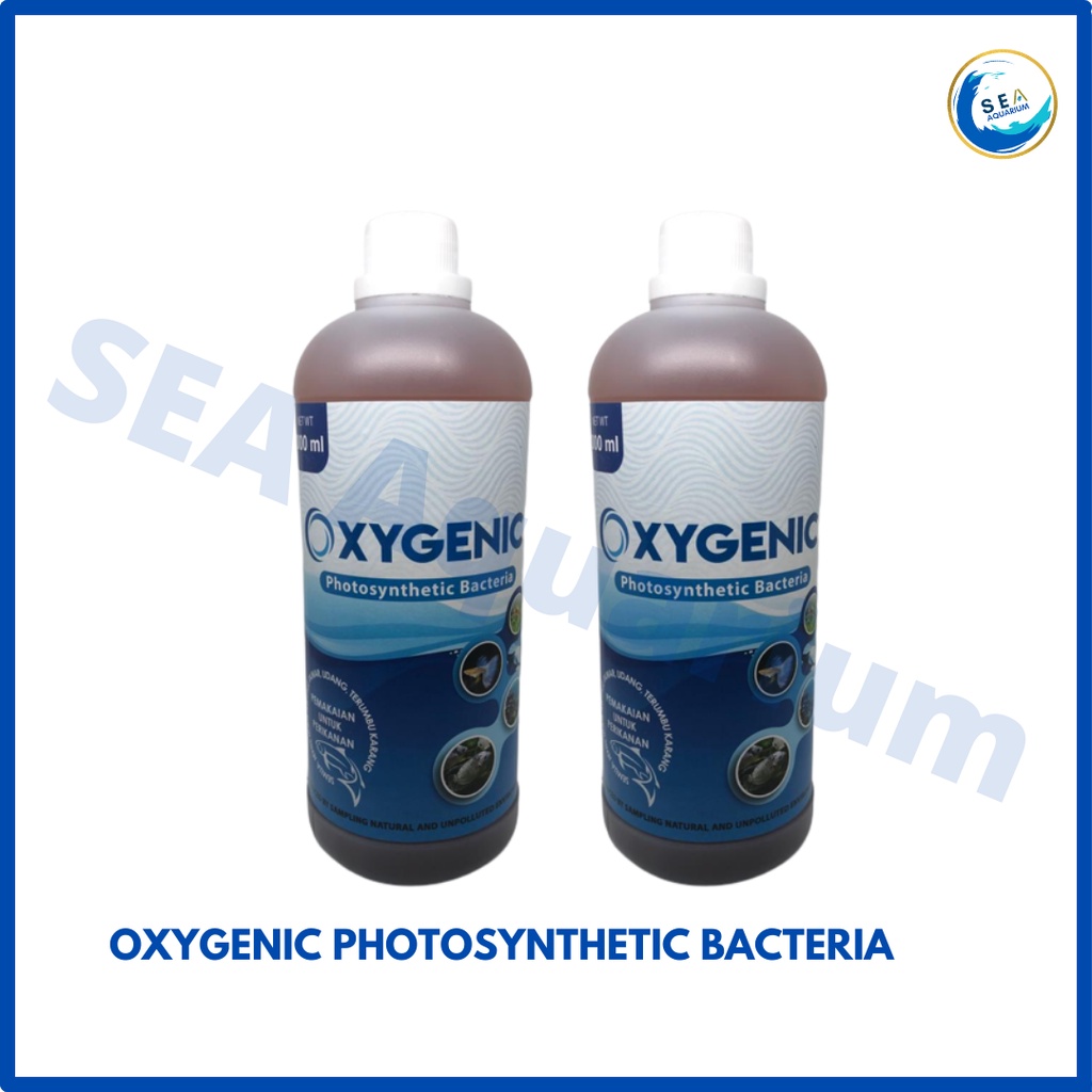 Jual Oxygenic Probiotic 1 Liter Kolam Aquarium Bakteri Fotosintesis ...