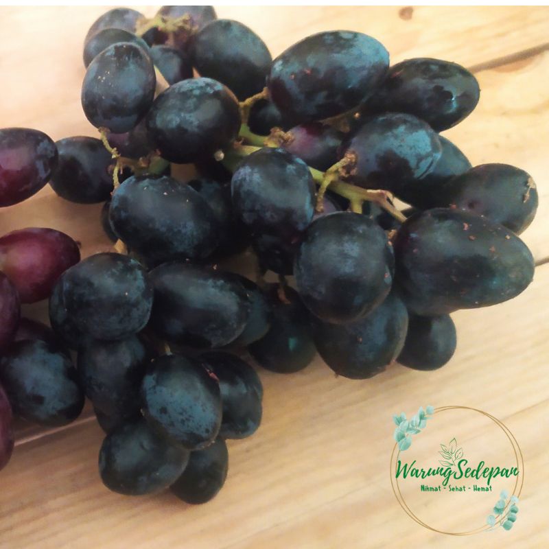 Jual Buah Anggur Hitam Anggur Black Autumn Seedless 500gr Seedless ...