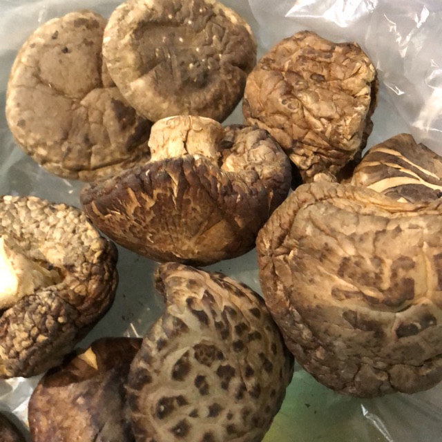 Jual Jamur Shitake Hioko | Shopee Indonesia