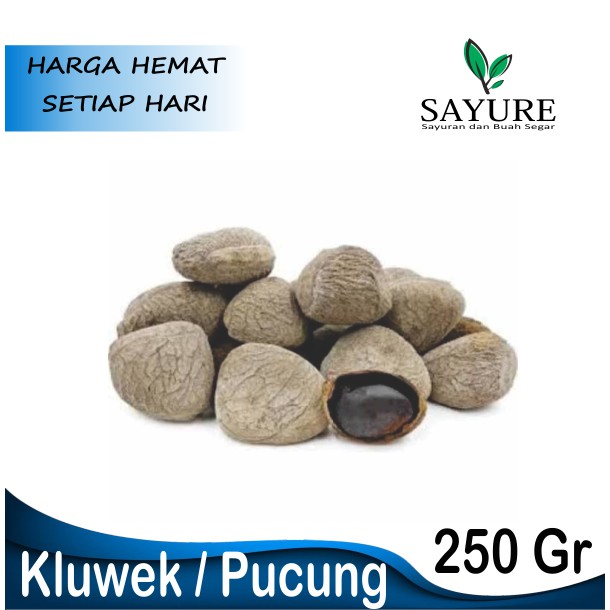 Jual KLUWEK / KEPAYANG / PUCUNG 250GR | Shopee Indonesia