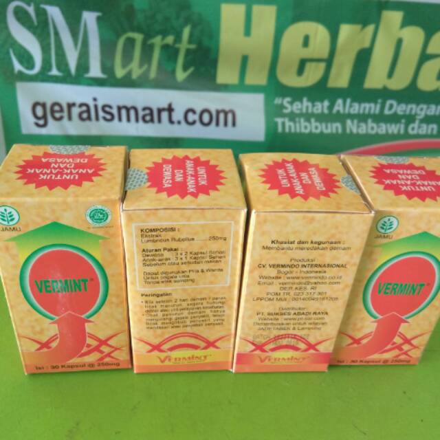 Jual Vermint isi 30 kapsul ekstrak cacing tanah obat tifus/tipes/typus ...