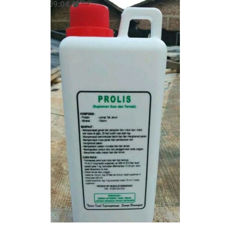 Jual Prolis probiotik suplemen ikan & ternak by muklis | Shopee Indonesia