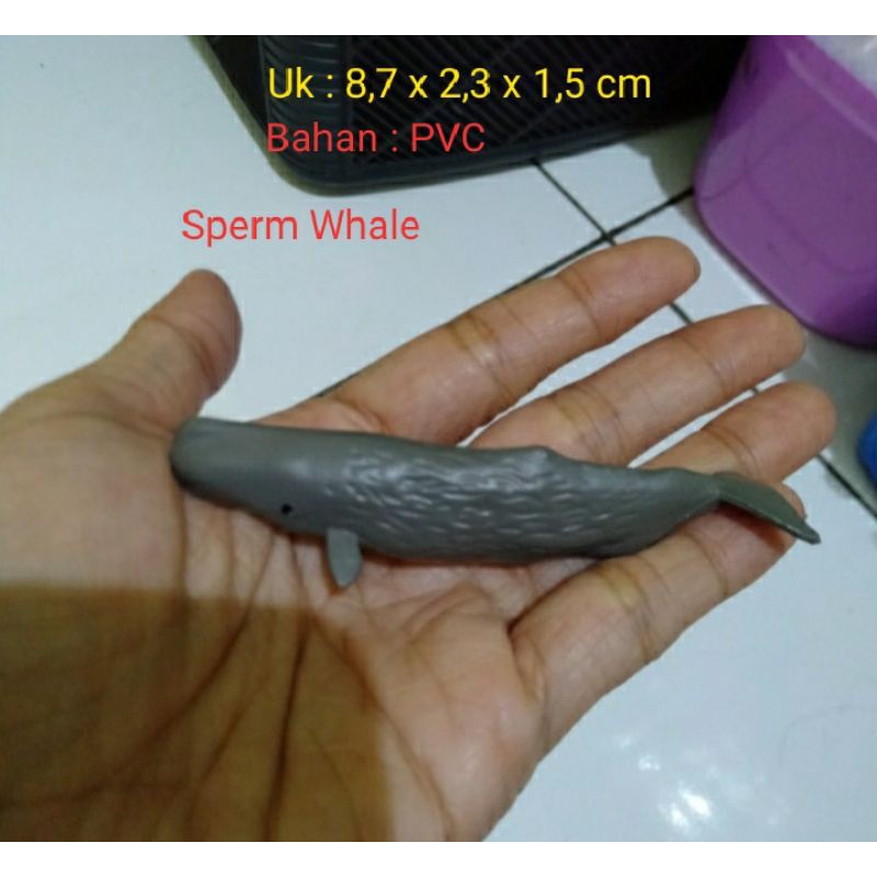 Jual Miniatur Ikan Paus Sperma Miniatur Figure Sperm Whale | Shopee ...