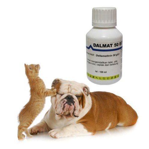 Jual GCL DALMAT 50 EC efektif melindungi anjing-kucing dari kutu ...