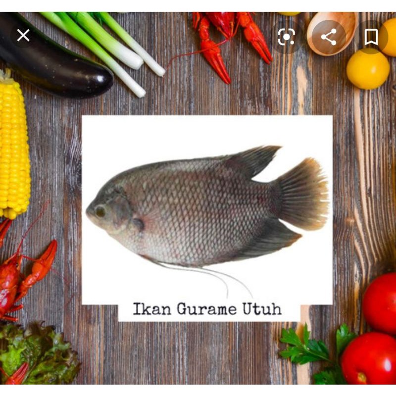 Jual Ikan-Gurame-Utuh-Beku-Frozen-WGGS-Bersih-Sisik-Jeroan-dan-Insang ...