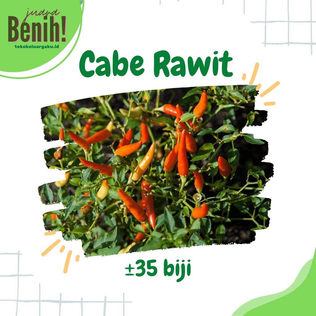 Jual Benih Cabe Rawit Setan Cabai Merah Sigantung 35 biji Bibit Sayuran ...
