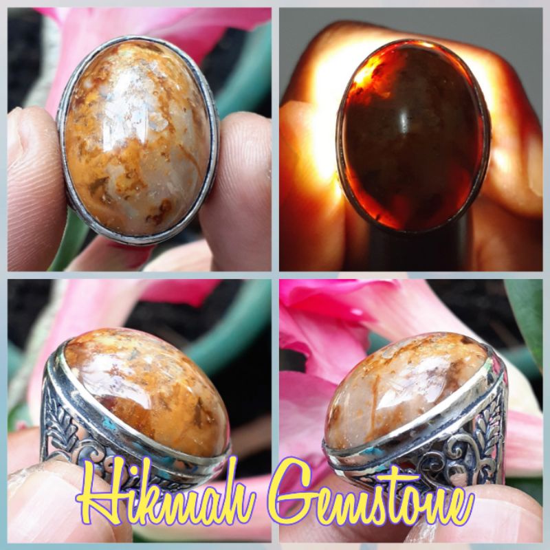 Jual Batu Fosil Kayu Aren Kristal Lawasan | Shopee Indonesia