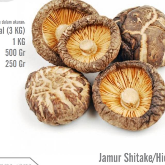 Jual Jamur Shitake kering / hio koh kering kualitas premium 250 gr ...
