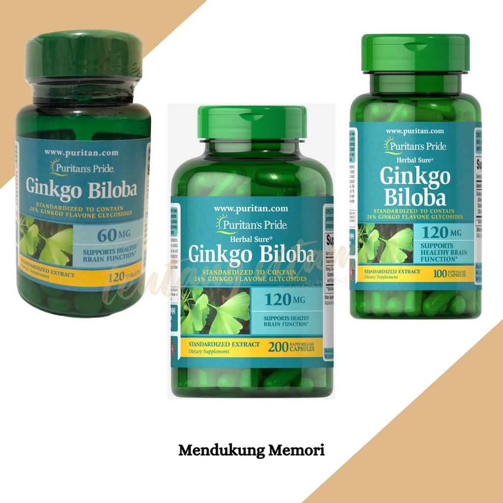 Jual Ginkgo Biloba Standardized Extract 60mg 120 tablets/ 120mg 100 ...