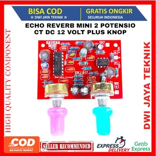 Jual Kit Echo Reverb Mini 2 Potensio Plus FREE Knop Potensio | Shopee Indonesia