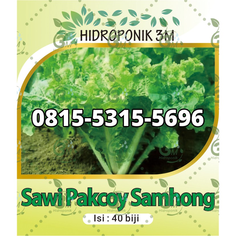 Jual Benih Sawi Samhong - Repack | Shopee Indonesia