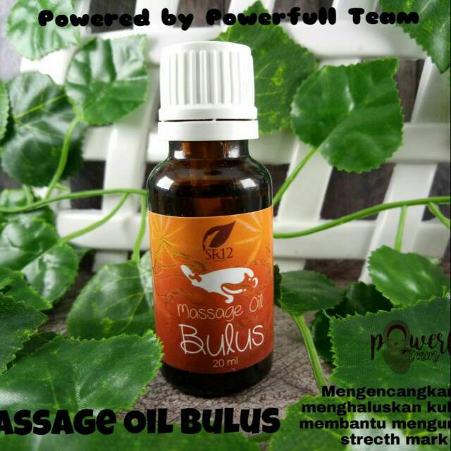 Jual FENOMENAL !! MINYAK BULUS BIKIN MULUS !!! | Shopee Indonesia