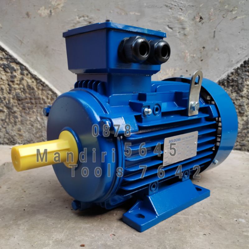 Jual Mandiri-Motor Penggerak/Dinamo Electro Motor 3 Hp 2 Pole Bologna | Shopee Indonesia
