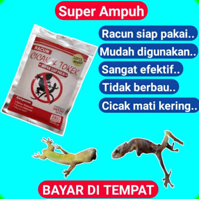 Jual RACUN PEMBASMI CICAK DAN TOKEK OBAT RACUN PEMBASMI CICAK SUPER ...