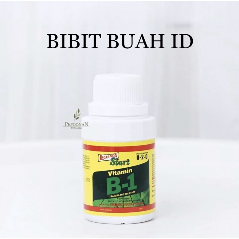 Jual OBAT VITAMIN B1 ASLI | Shopee Indonesia