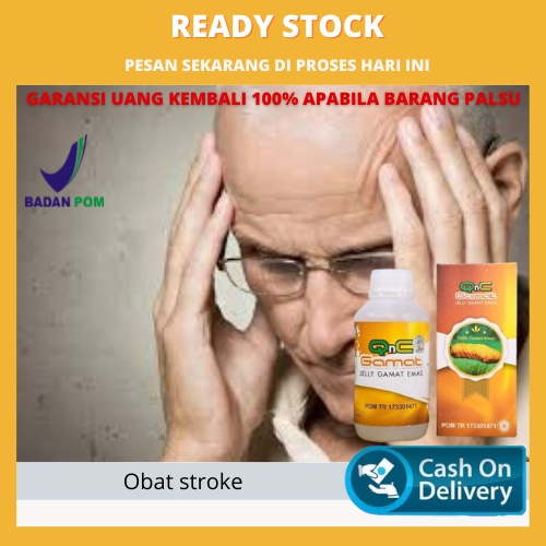 Jual Obat Stroke - Stroke Ringan, Stroke Sebelah, Stroke Iskemik ...