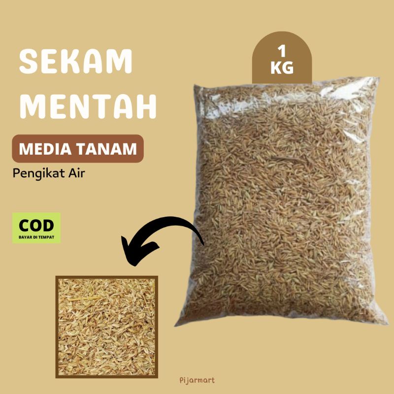 Jual MEDIA TANAM ORGANIK MURNI KULIT PADI - SEKAM MENTAH 1 KG | Shopee ...