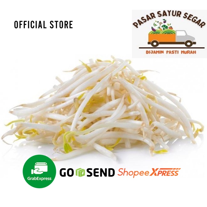Jual Toge Tauge Kualitas Super 500 gr | Shopee Indonesia