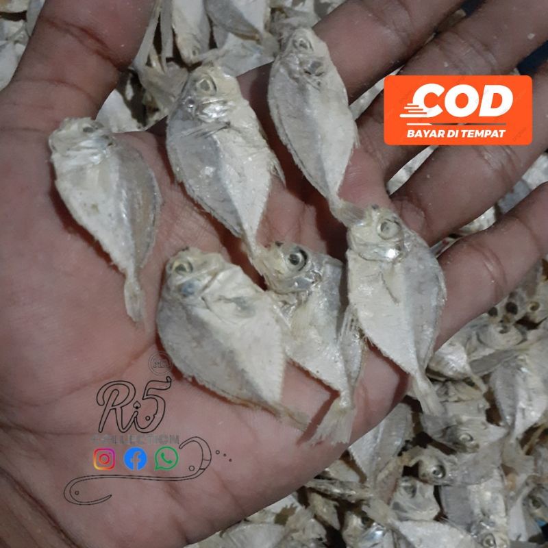 Jual IKAN ASIN PIRIK / TEMPAR 50 GRAM ( SEAFOOD KERING ) | Shopee Indonesia