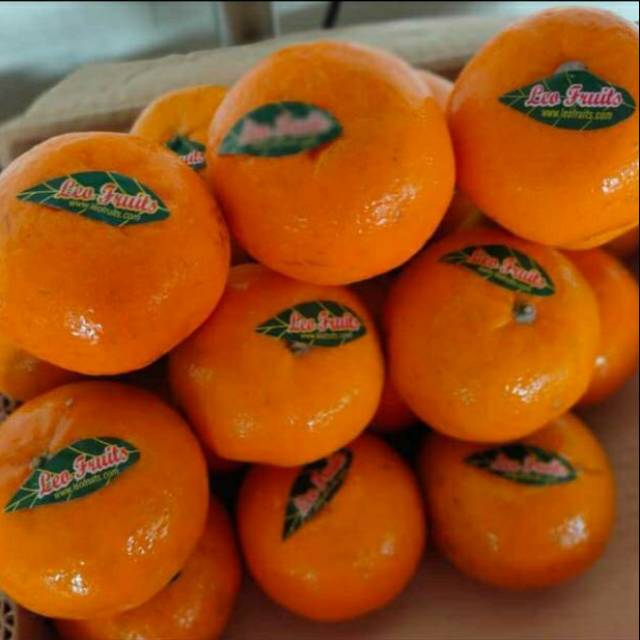 Jual Jeruk Kino per Kg | Shopee Indonesia