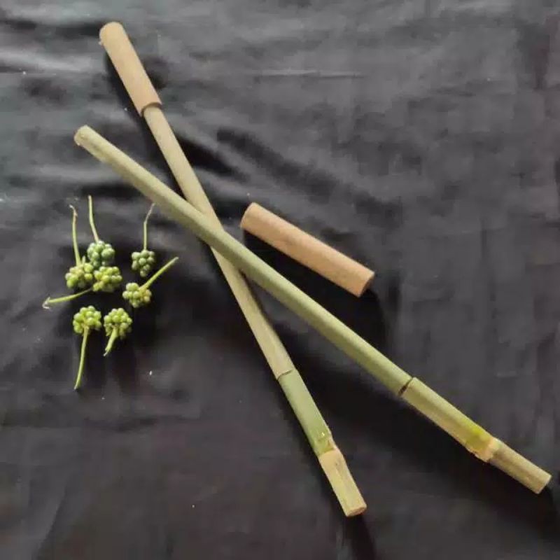 Jual Mainan Tradisional Peletokan Bambu Original | Shopee Indonesia